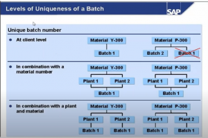 Batch Number and Batch Manufacturing - Batch Management
